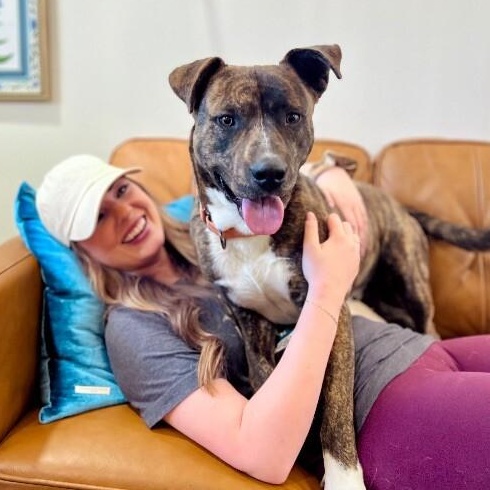 Dog for adoption - Thadius Goofy Goober, a Pit Bull Terrier & American ...