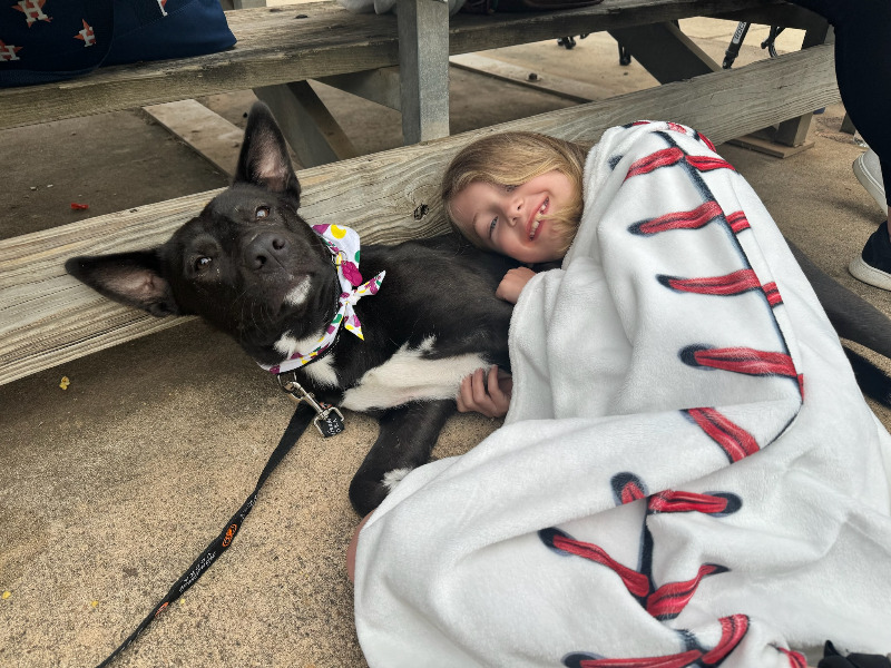 Dog for adoption - Socks Puddin Pie New Caney, a Labrador Retriever ...