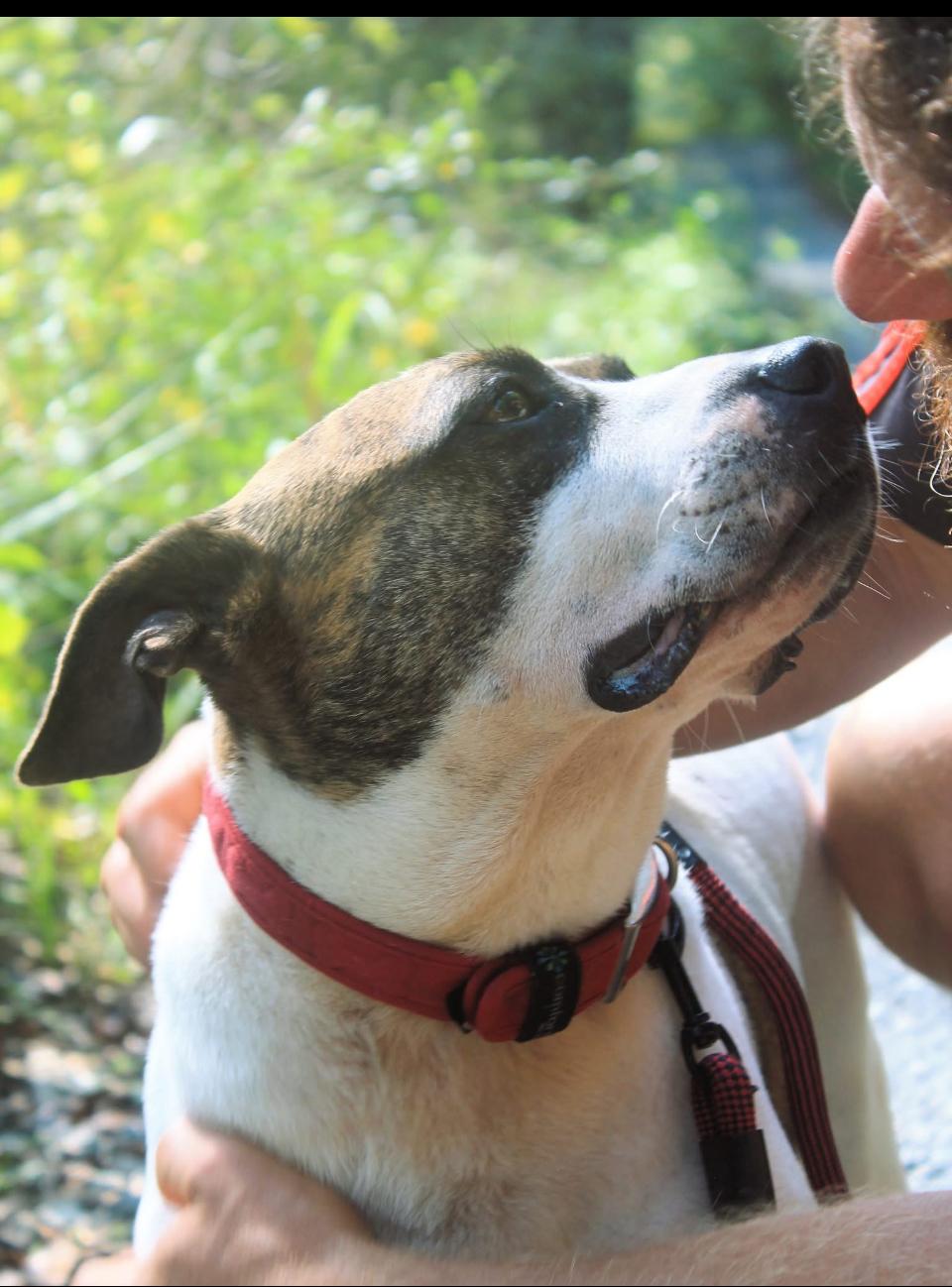 Delaware Spca in Newark, DE