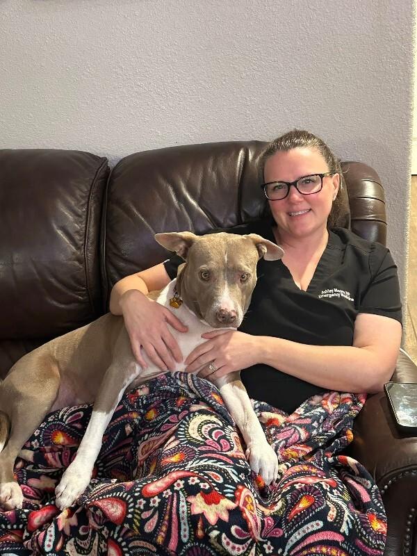 Dog for adoption - Smiley Girl the Cuddly Faithful Friend, a Pit Bull ...