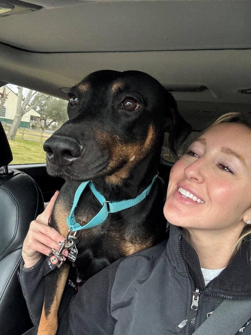 Dog for adoption - Maggie the mini Dobie, a Doberman Pinscher ...