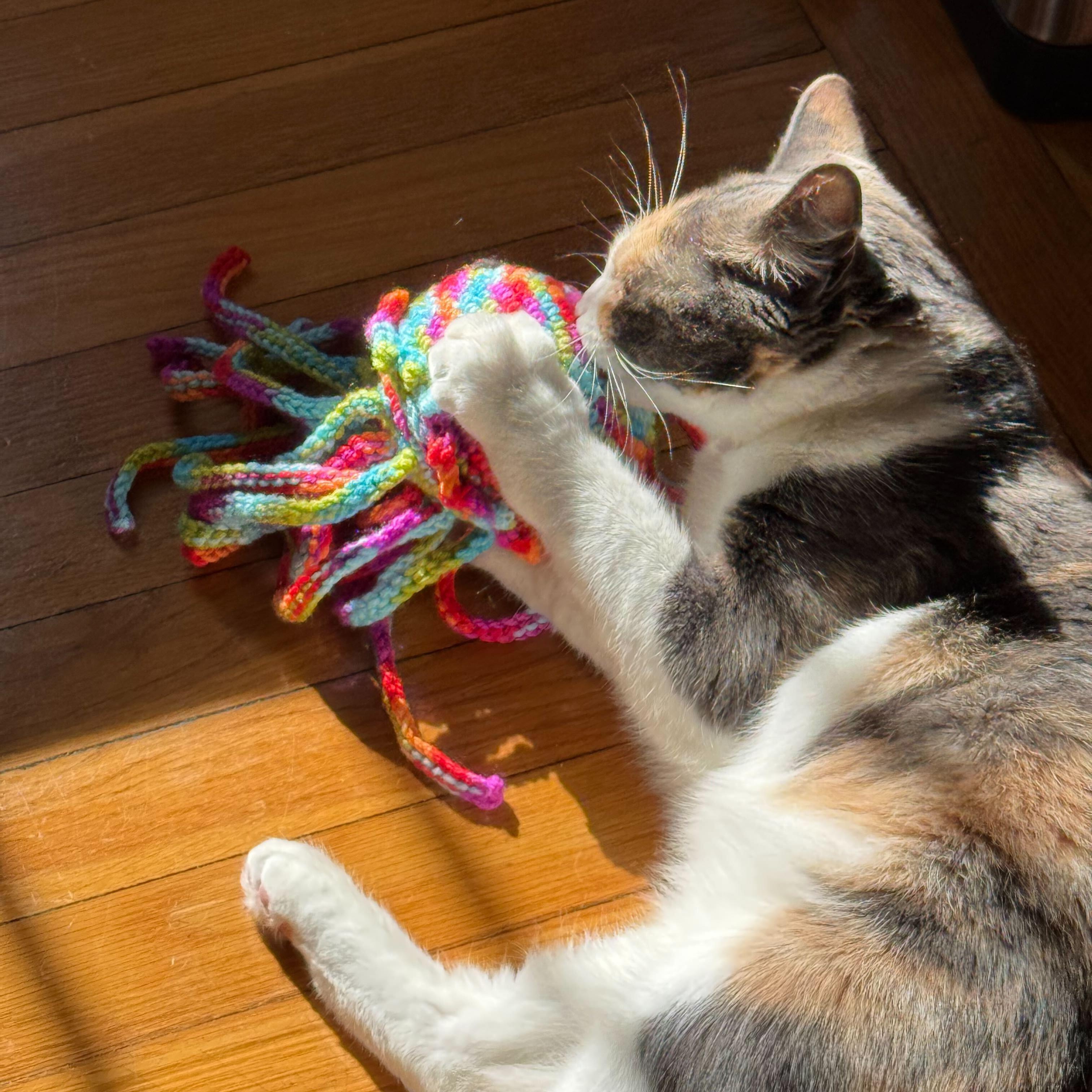 Available Cats | The Cat Connection | Cat Rescue Organization