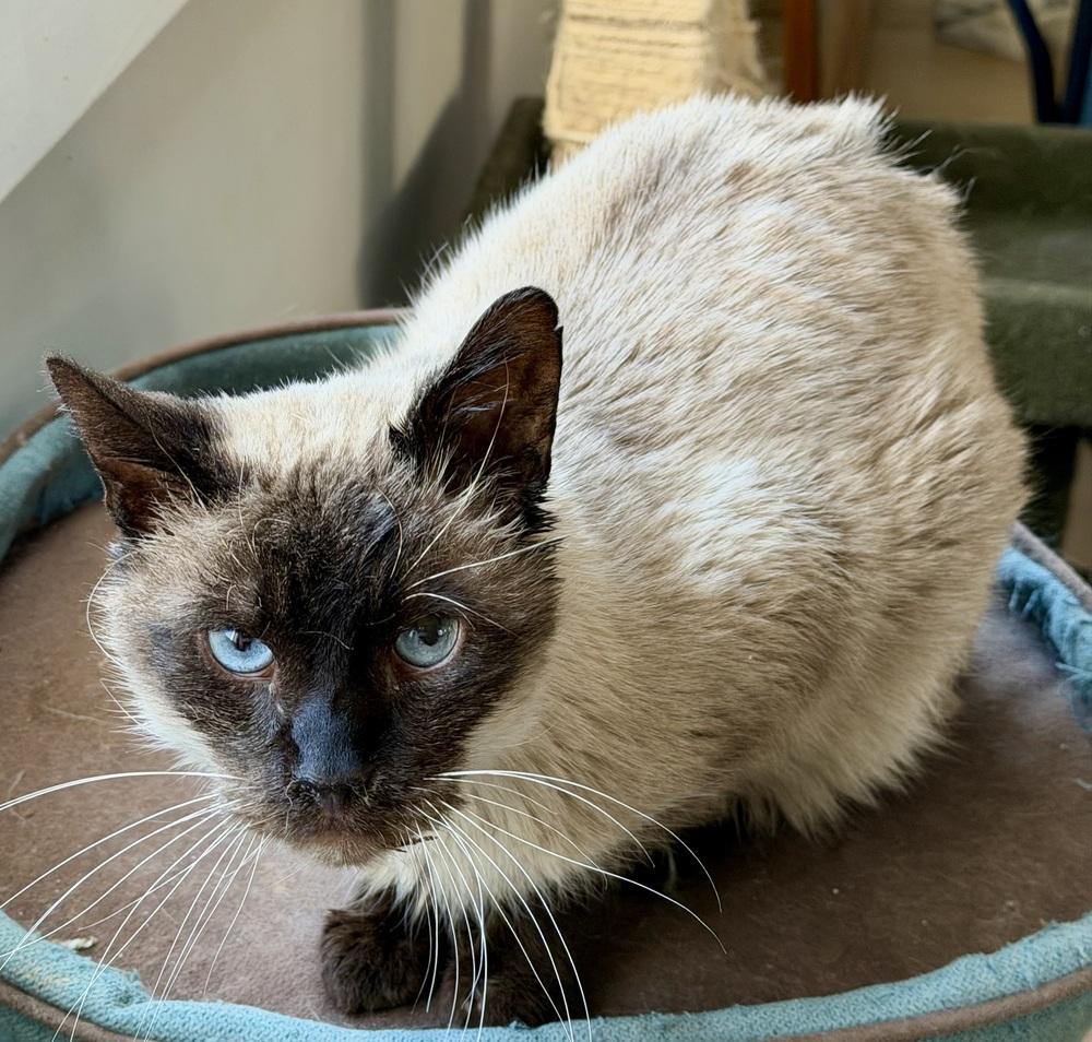 George Washington photo 1