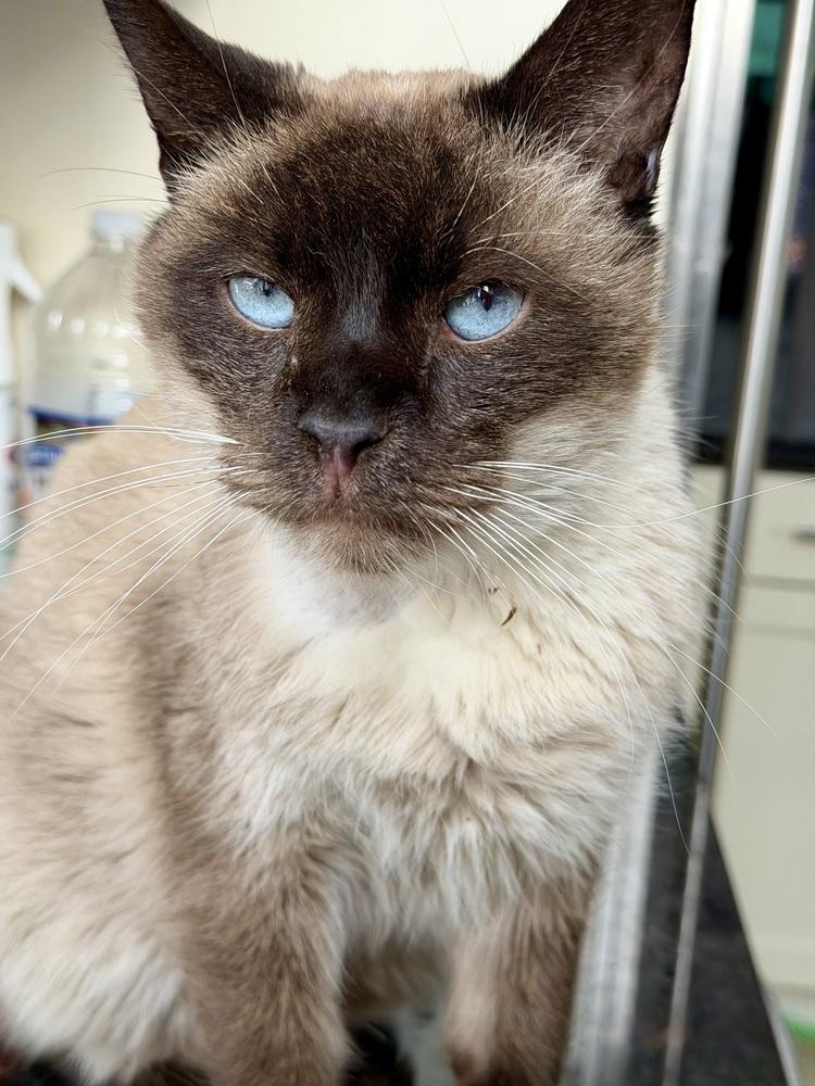 George Washington thumbnail 5