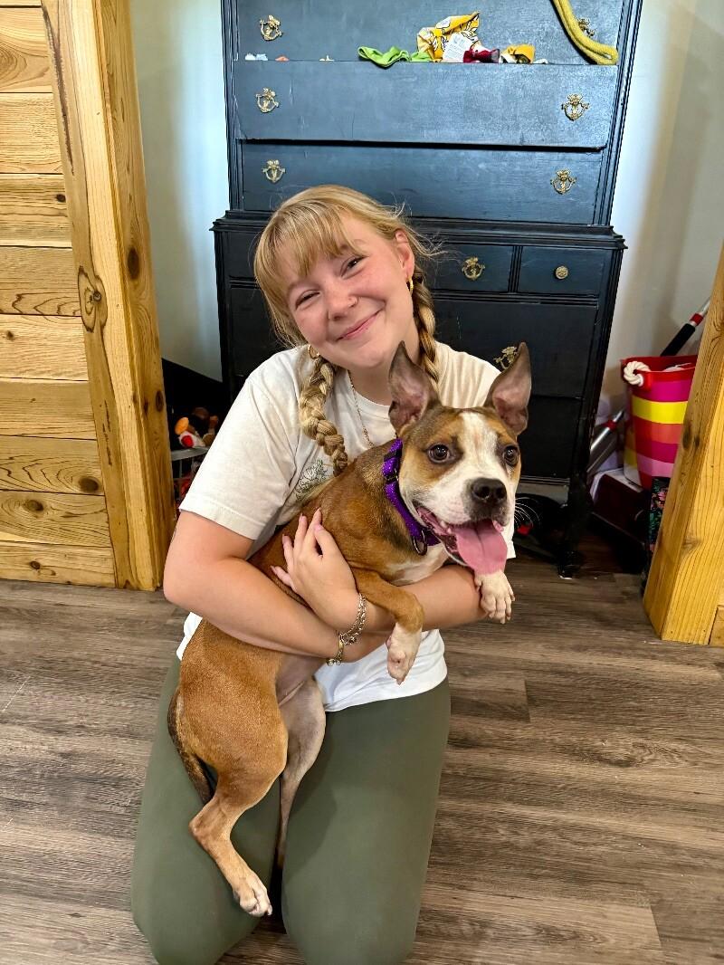 Dog for adoption - Maisie the spunky loving pocket pittie!, a Pit Bull ...