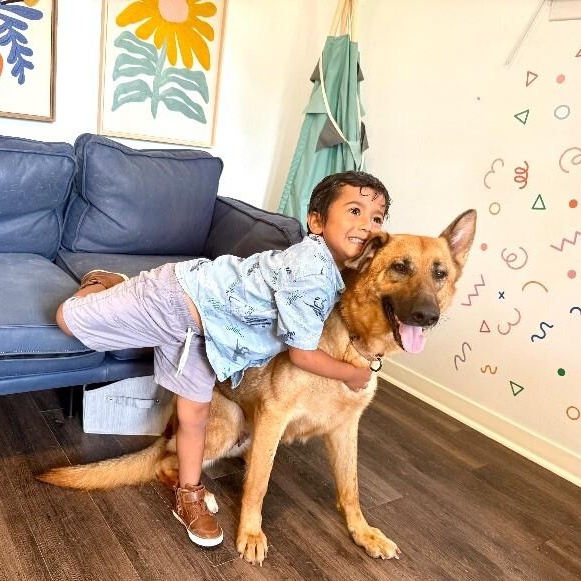 Dog for adoption - Libby is the Bestest Goodest Girl!, a German ...