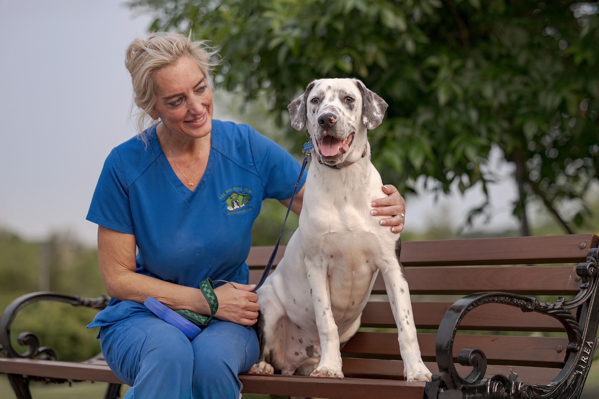 Dog for adoption - Mickey, a Dalmatian & Hound Mix in Manlius, NY ...