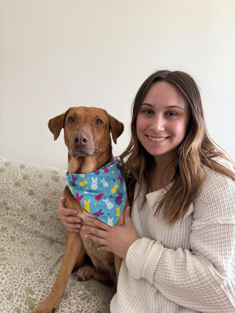 Dog for adoption - Princess Purdy the Perfect Girl, a Hound ...