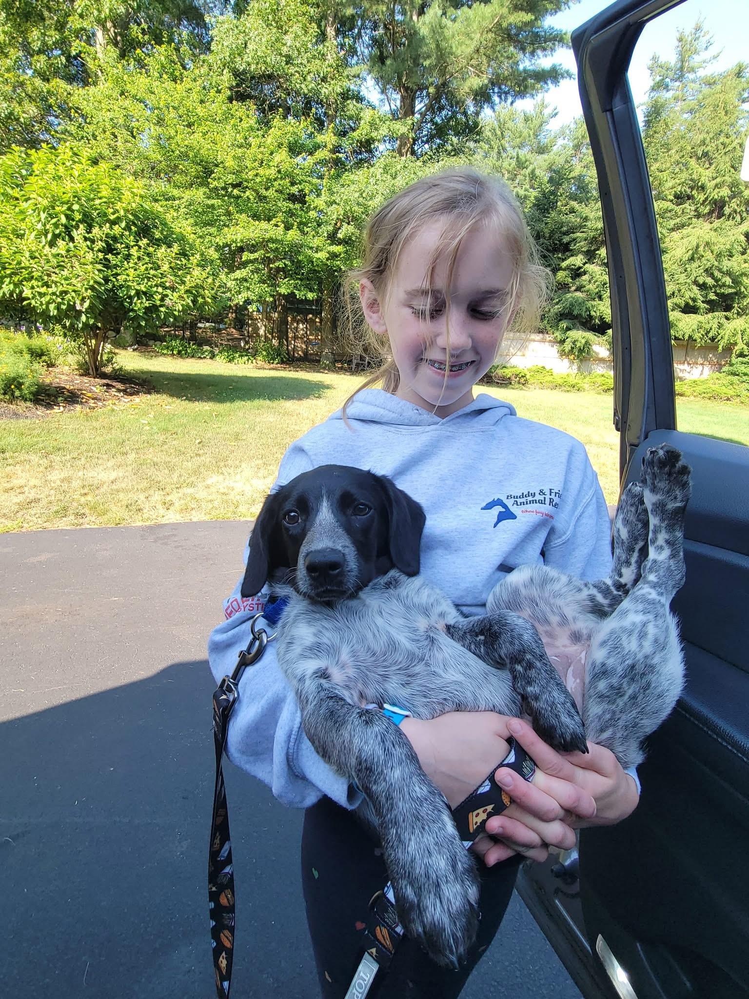 Dog for adoption - Ruby, a Pointer Mix in Pembroke, MA | Petfinder