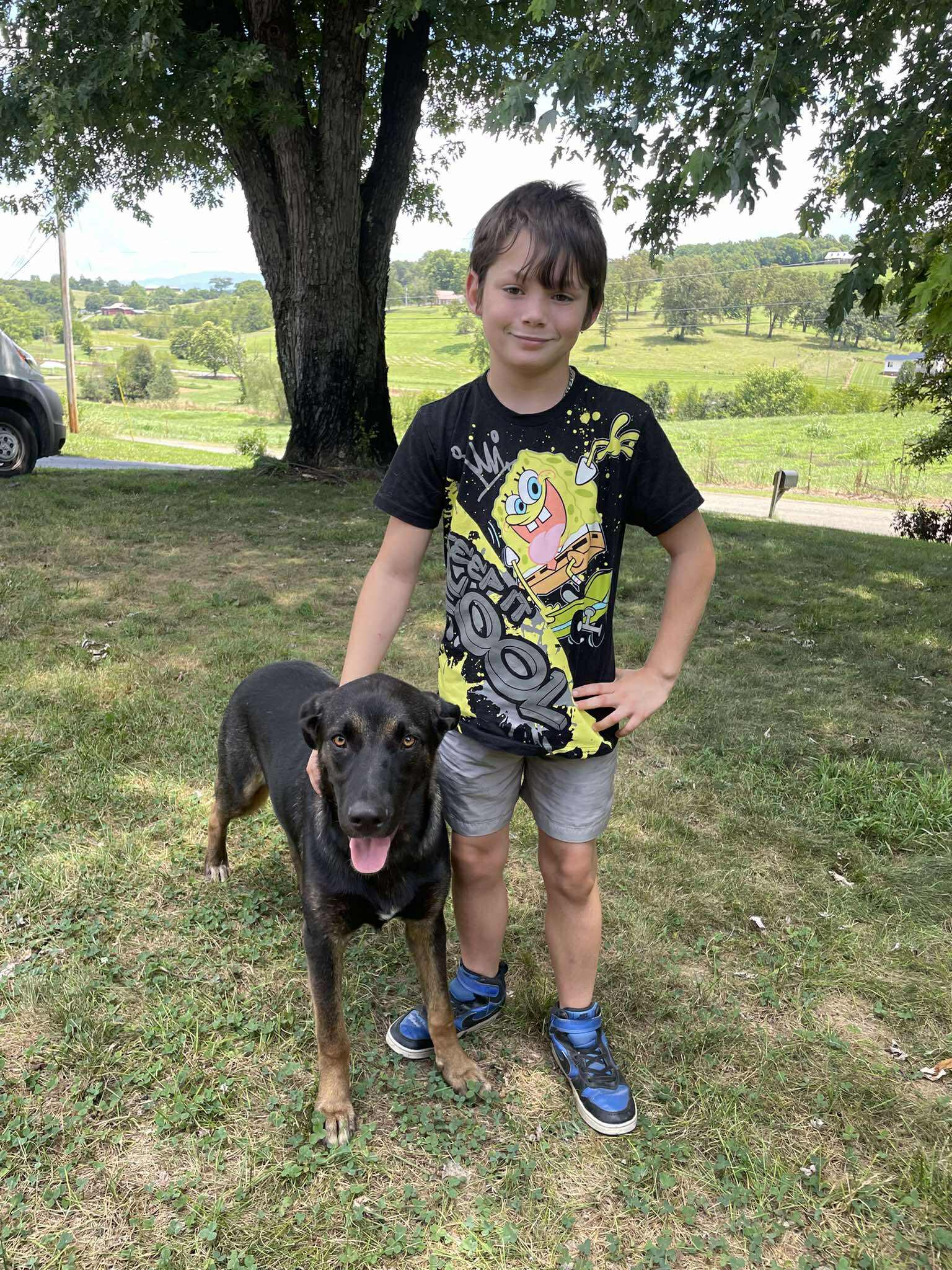 Dog for adoption - Yannick, a German Shepherd Dog Mix in Sewaren, NJ ...