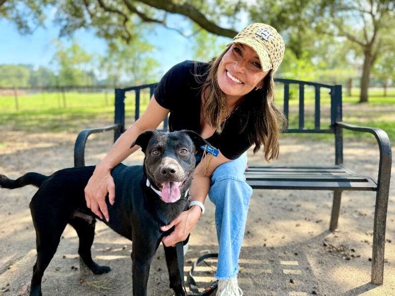 Dog for adoption - Rex the goofy good boy, a Black Labrador Retriever ...