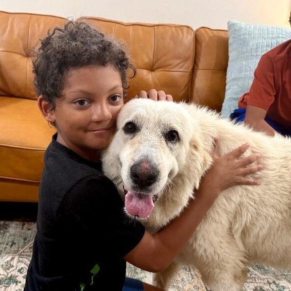 Dog for adoption - Snow White the giant teddy bear who loves kids!, a ...