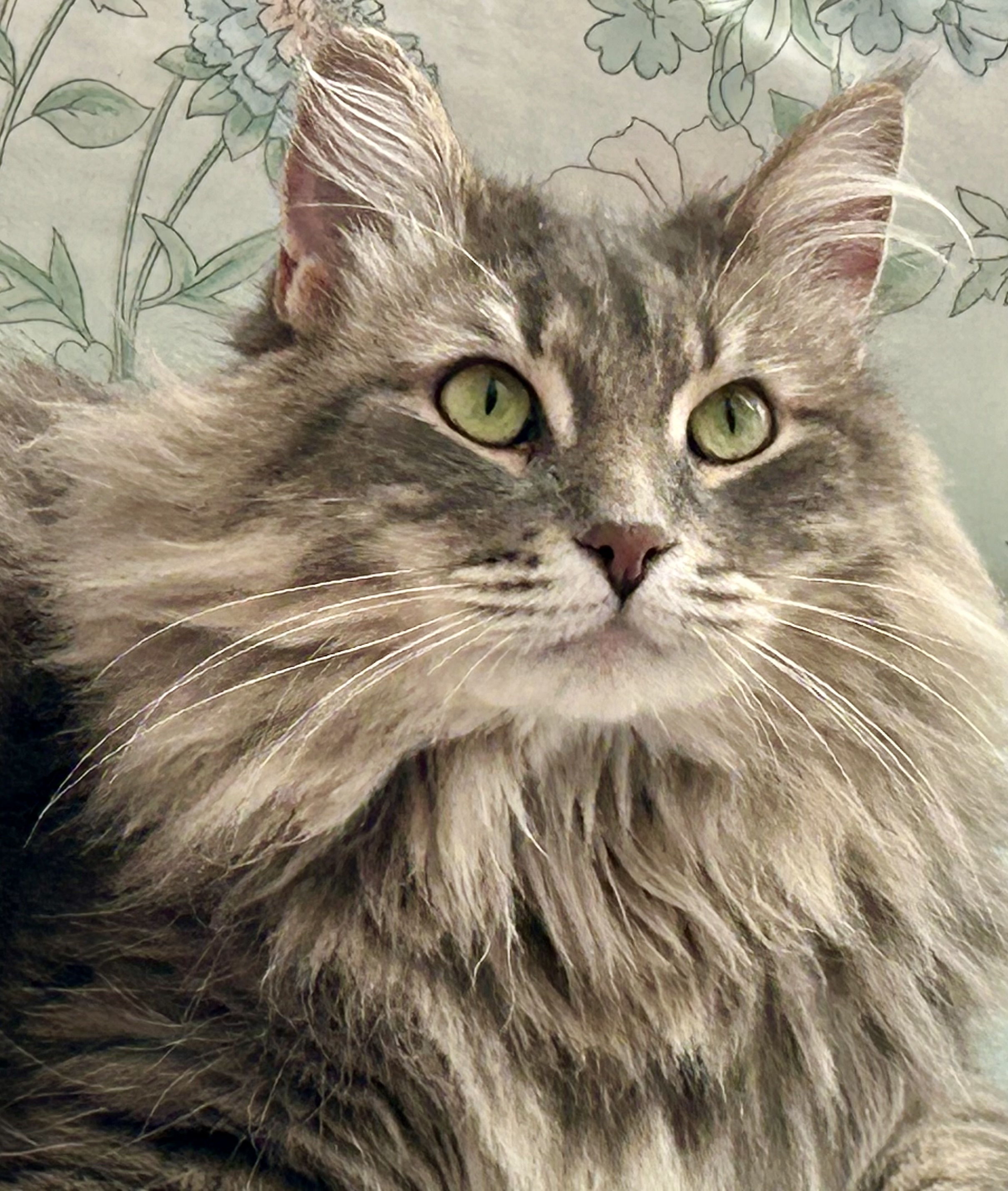 Home Page | Animal Rescue Project