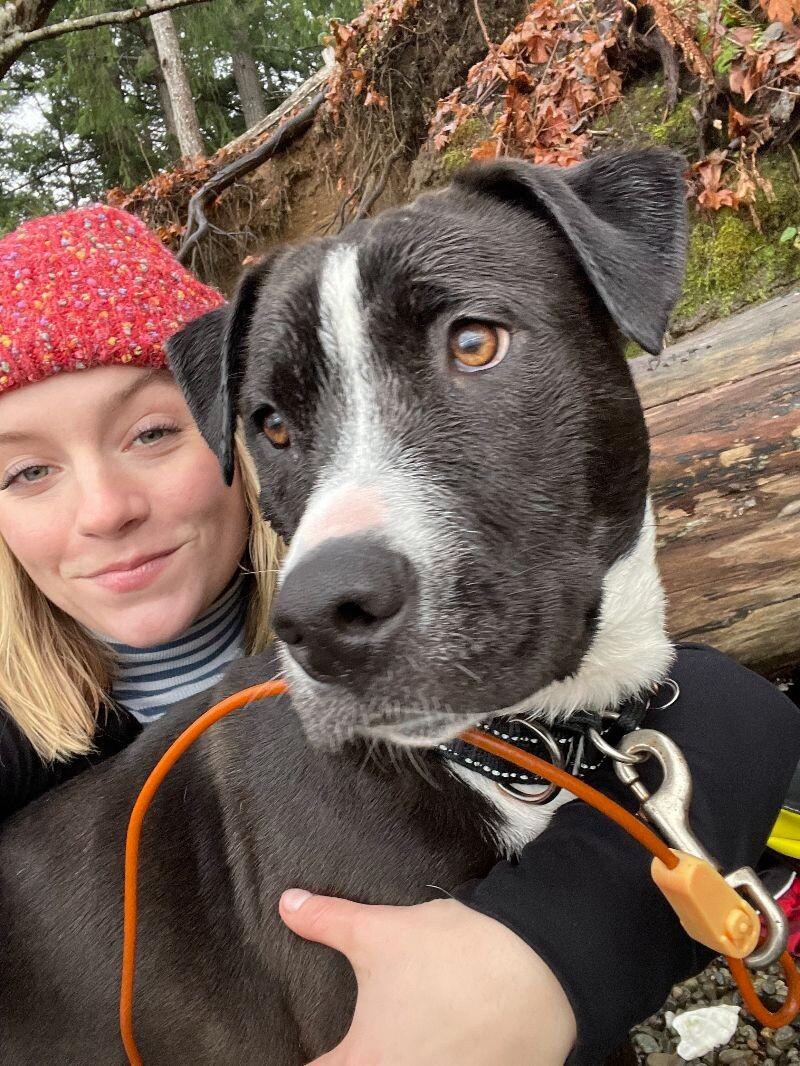 Dog for adoption - Rocky The Trail Runner's BFF, a Labrador Retriever ...
