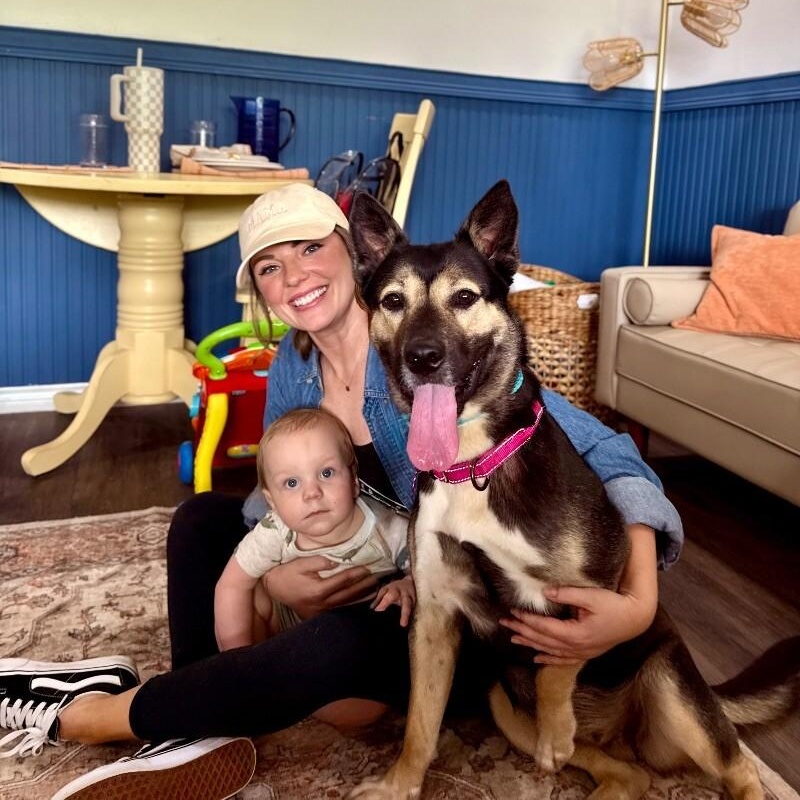 Dog for adoption - Shelly Seashells the Sweet Kid Friendly Snugglepup ...