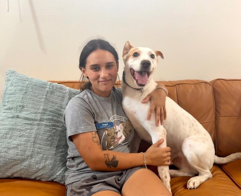 Dog for adoption - Ranchito Dorito the most chill dude!, a Labrador ...