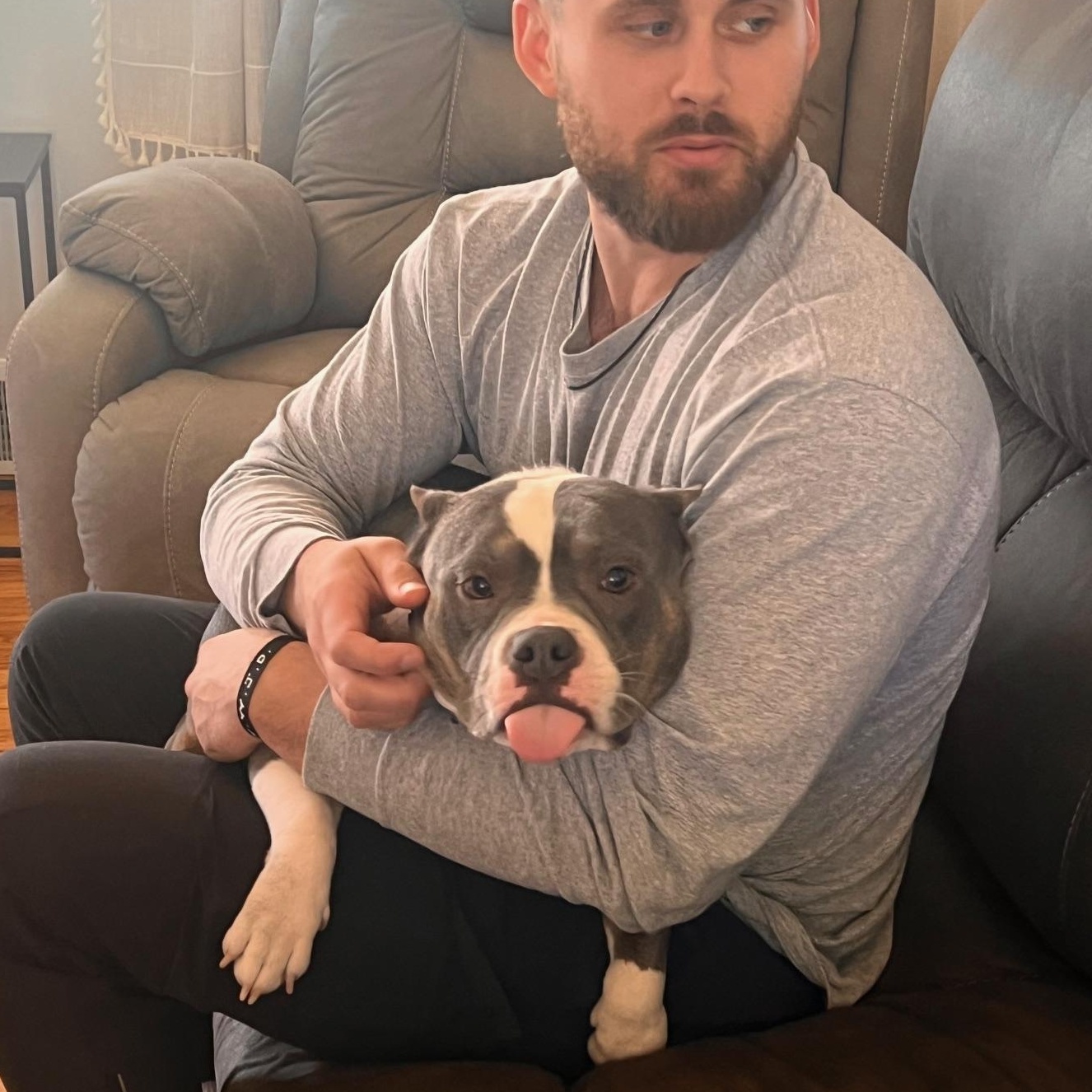 Dog for adoption - Ethel Beavers, an American Bully in Macomb, MI ...