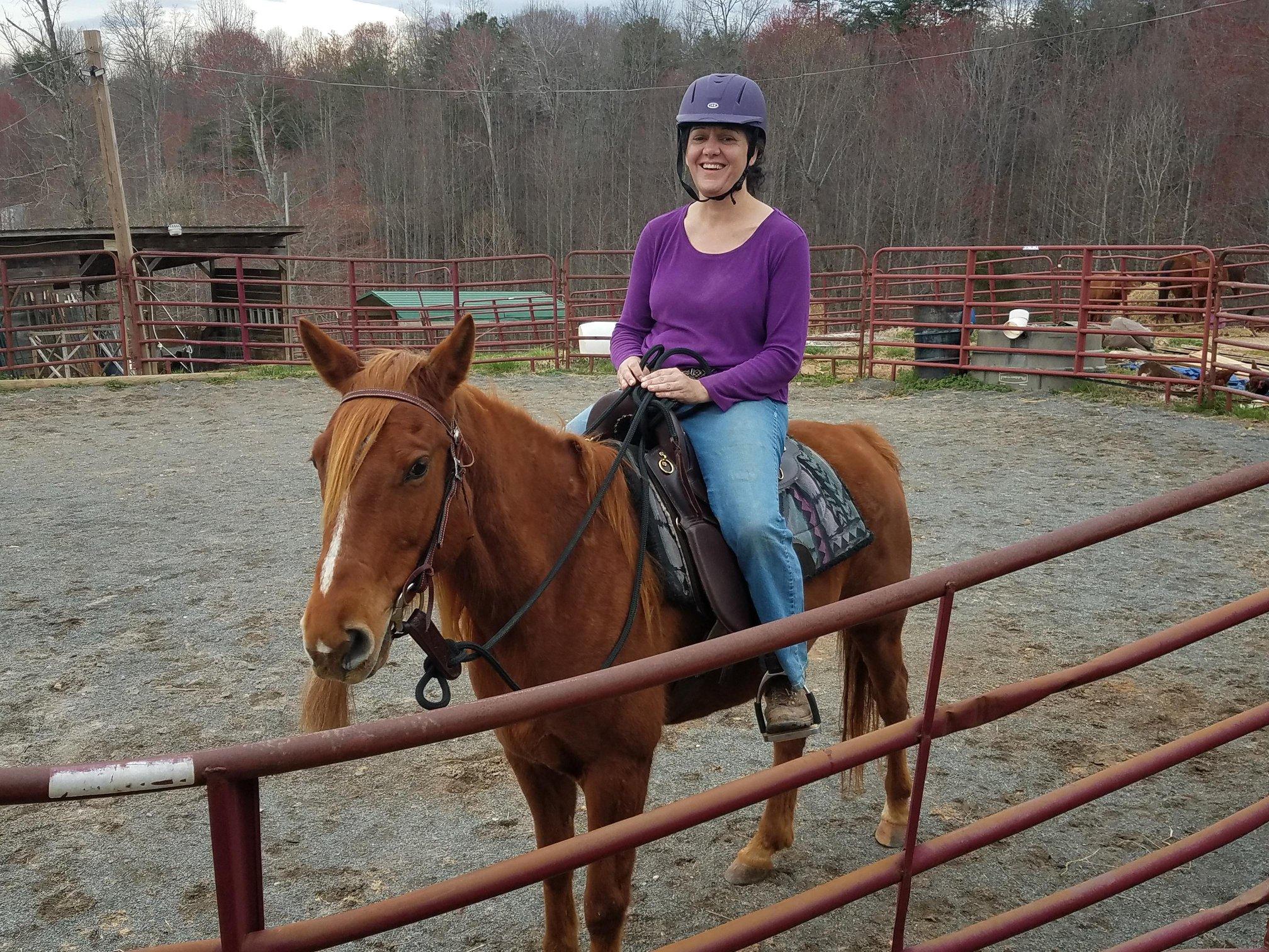 Horse for adoption - Moe, a Quarterhorse in Hardy, VA | Petfinder