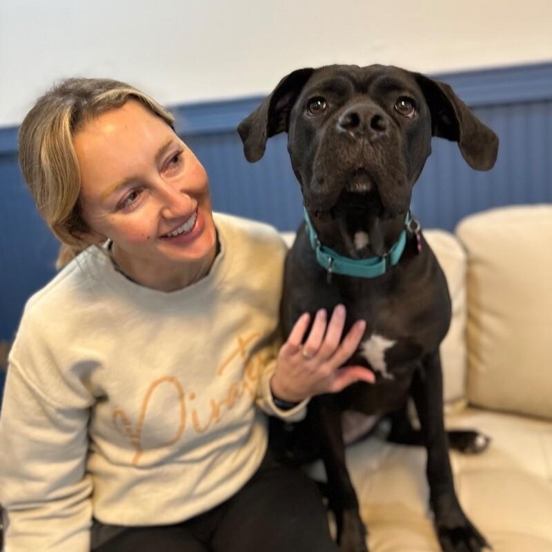 Dog for adoption - Ruby Sweetest Girl, a Cane Corso & Boxer Mix in ...