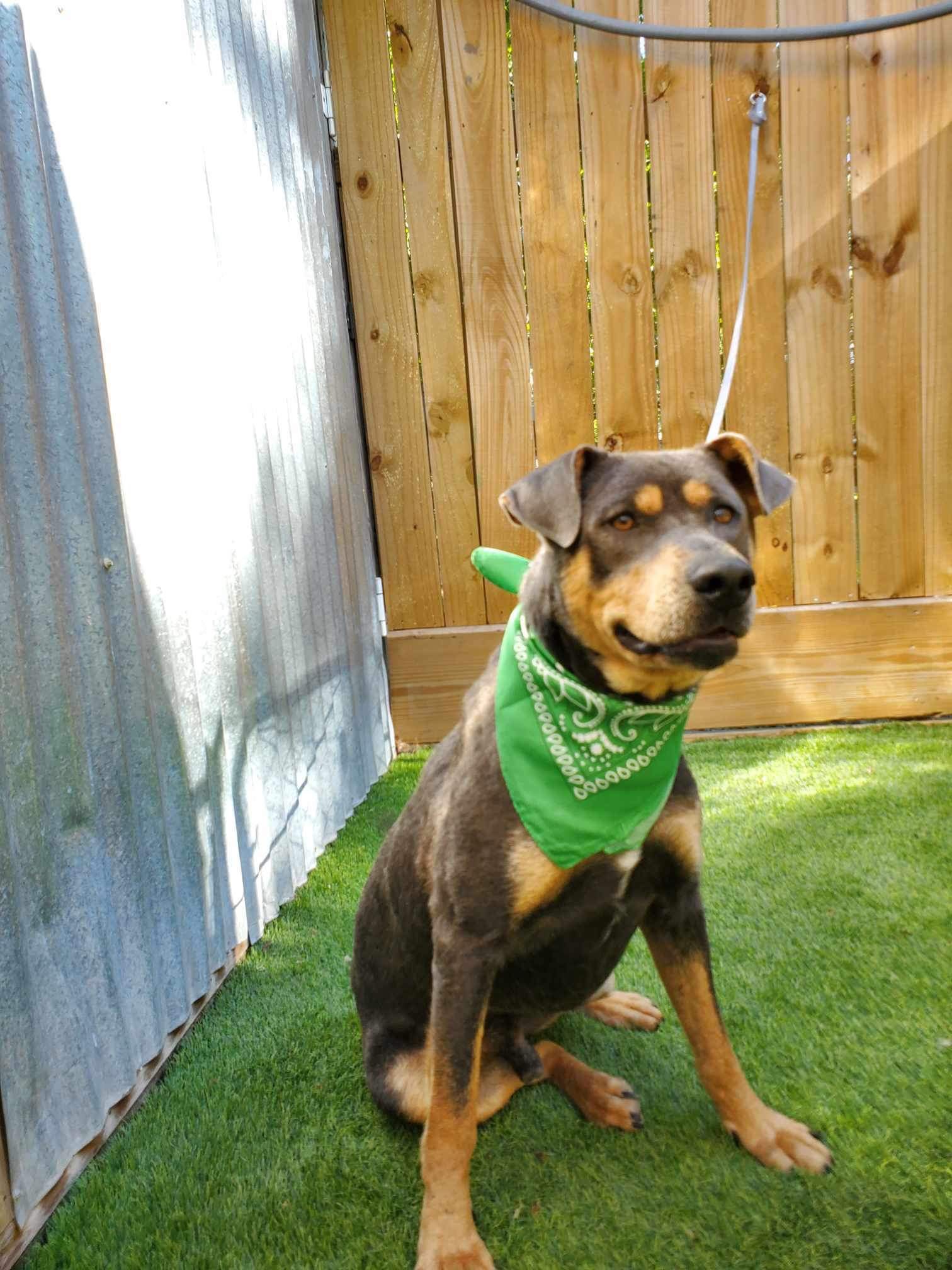 Tyrus's Adoption Journey: The Inspiring Story Behind The Man Known As ...