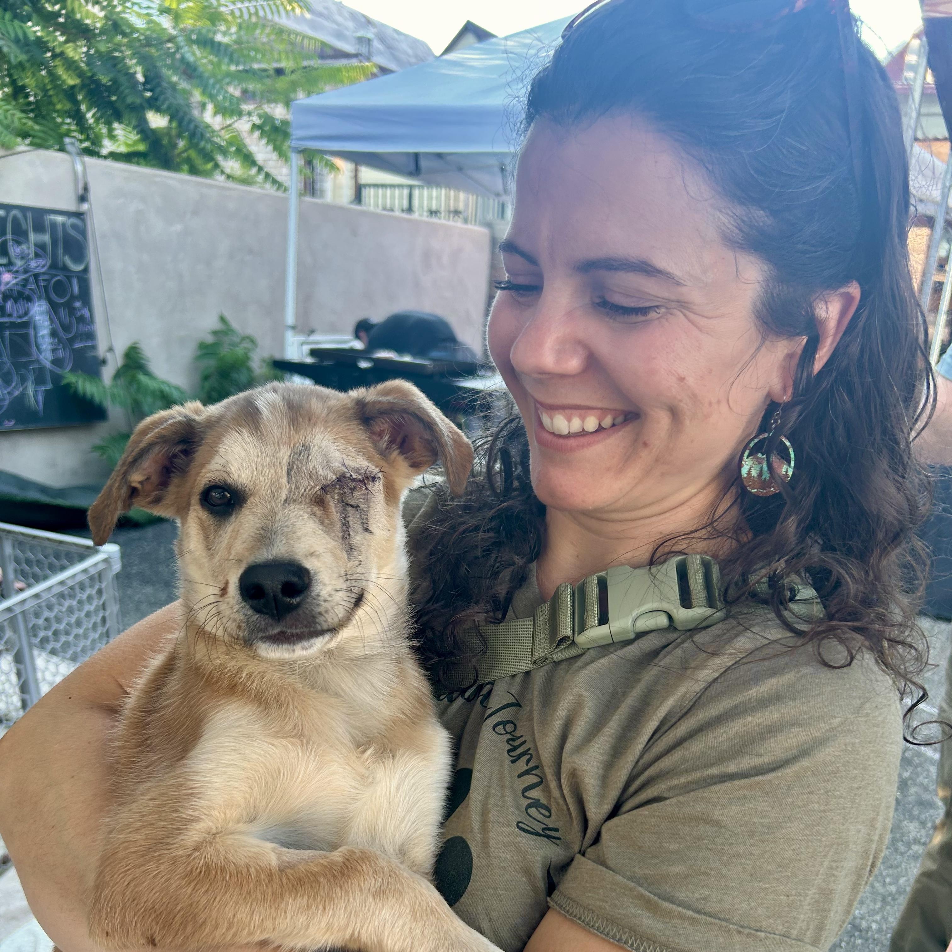 Dog for adoption - Patch- One Eyed Wonder, a Terrier Mix in Grass ...