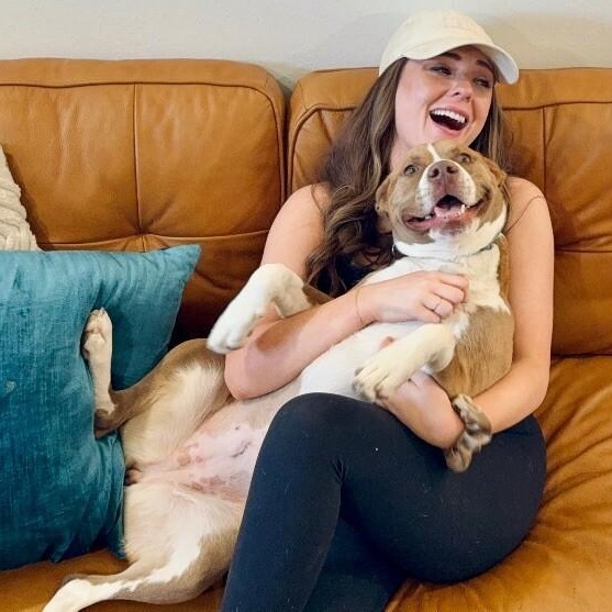 Dog for adoption - Coconut Candy is the Dog of Your Kid's Dreams, a Pit ...