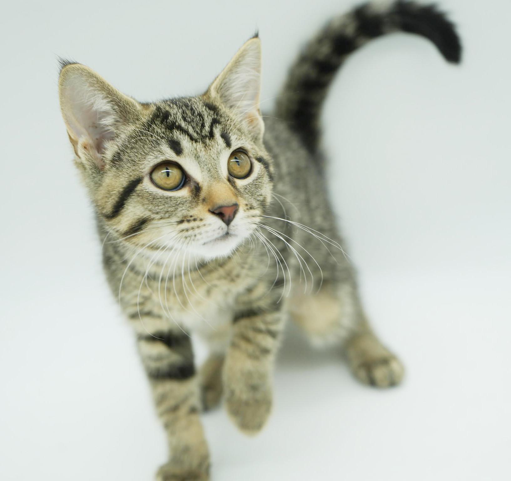 Bertha is oh so beautiful! Such a round faced cutie! And so teeny ...