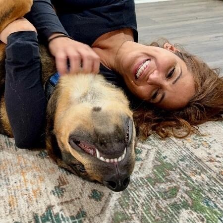 Dog for adoption - Luke Brazoria, a Shepherd & Labrador Retriever Mix ...