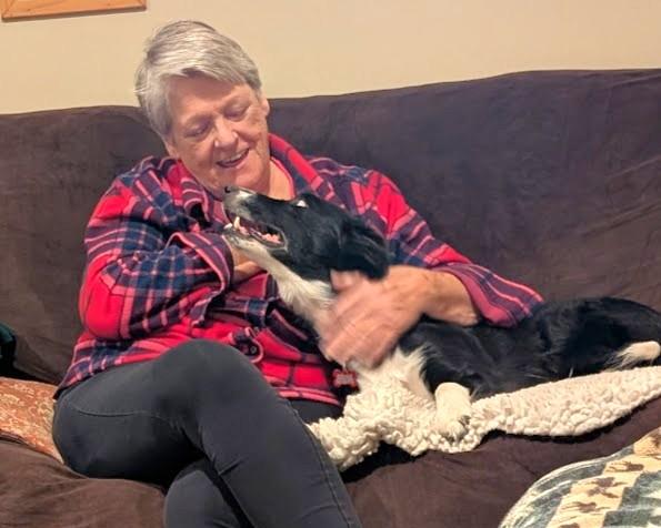 Dog for adoption - Zoey, a Border Collie in Minneapolis, MN | Petfinder