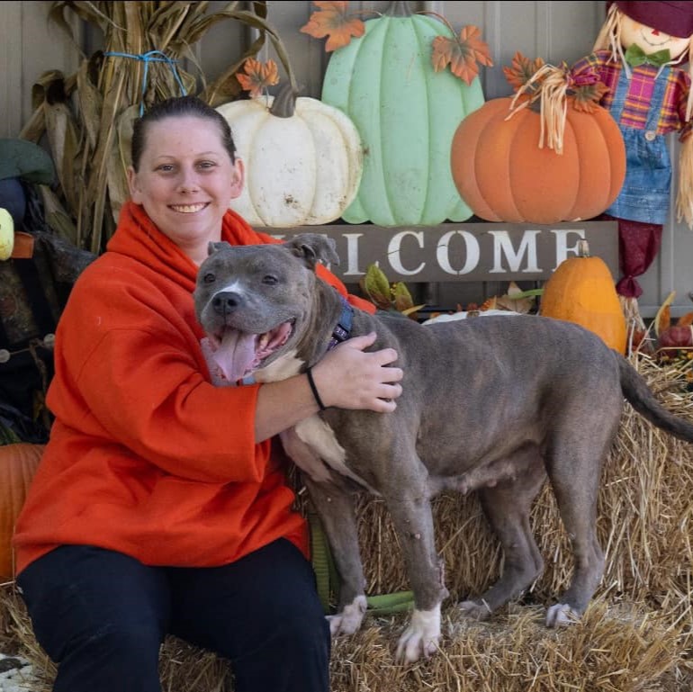 Dog for adoption - Cinnabon, a Pit Bull Terrier Mix in Phoenixville, PA ...