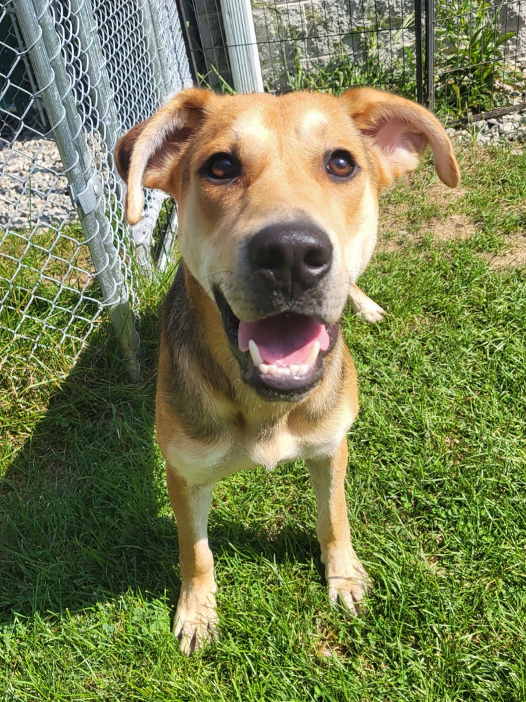 Our friends who already found their forever home