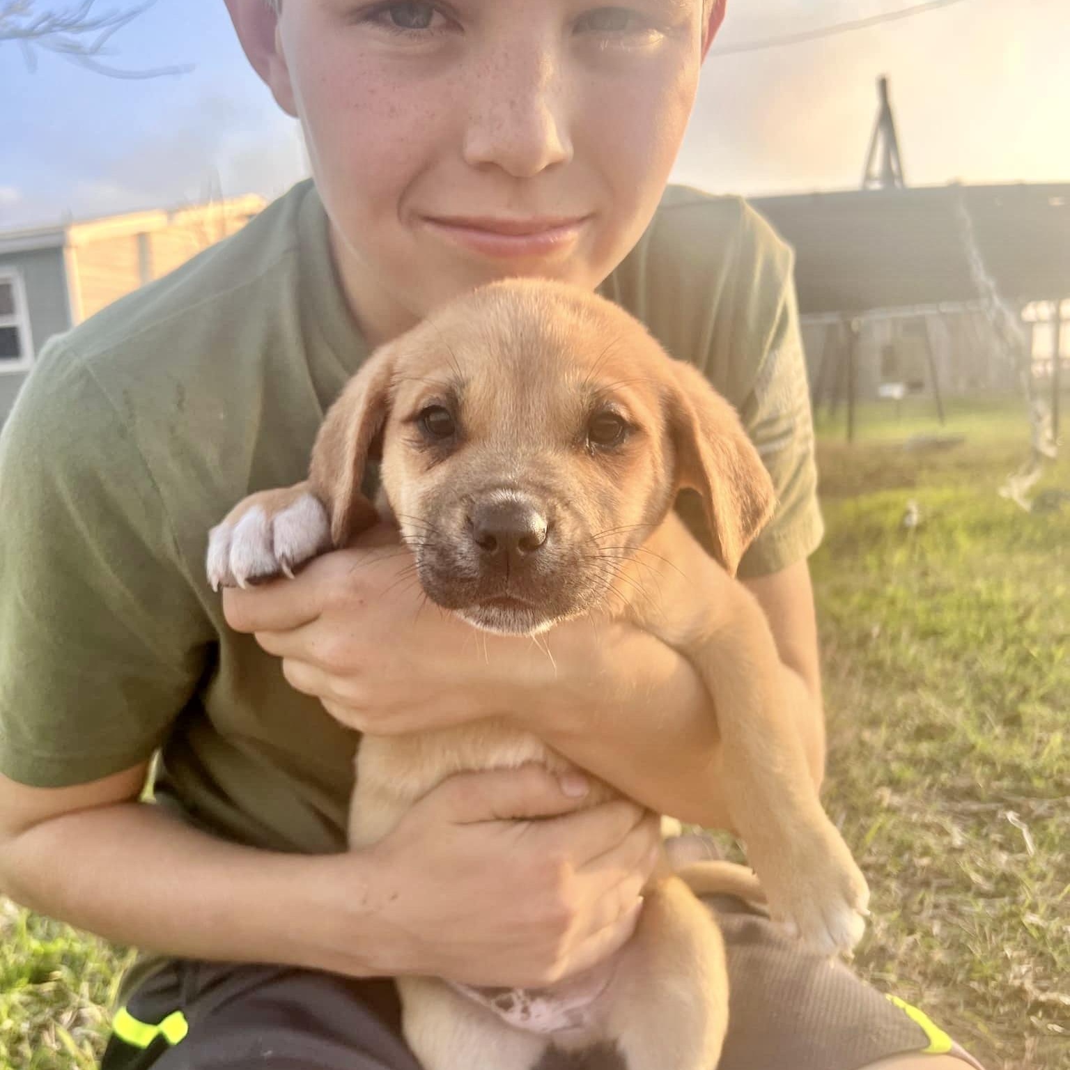 Delaware SPCA Sussex Chapter in Georgetown, DE