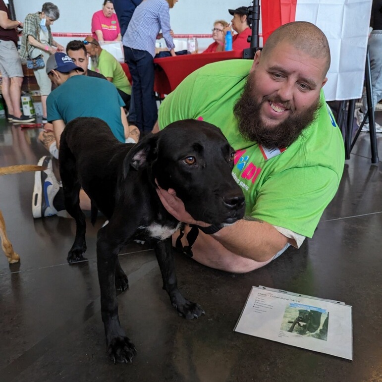 Dog for adoption - Hank - Local, a Labrador Retriever in Beaverton , OR ...