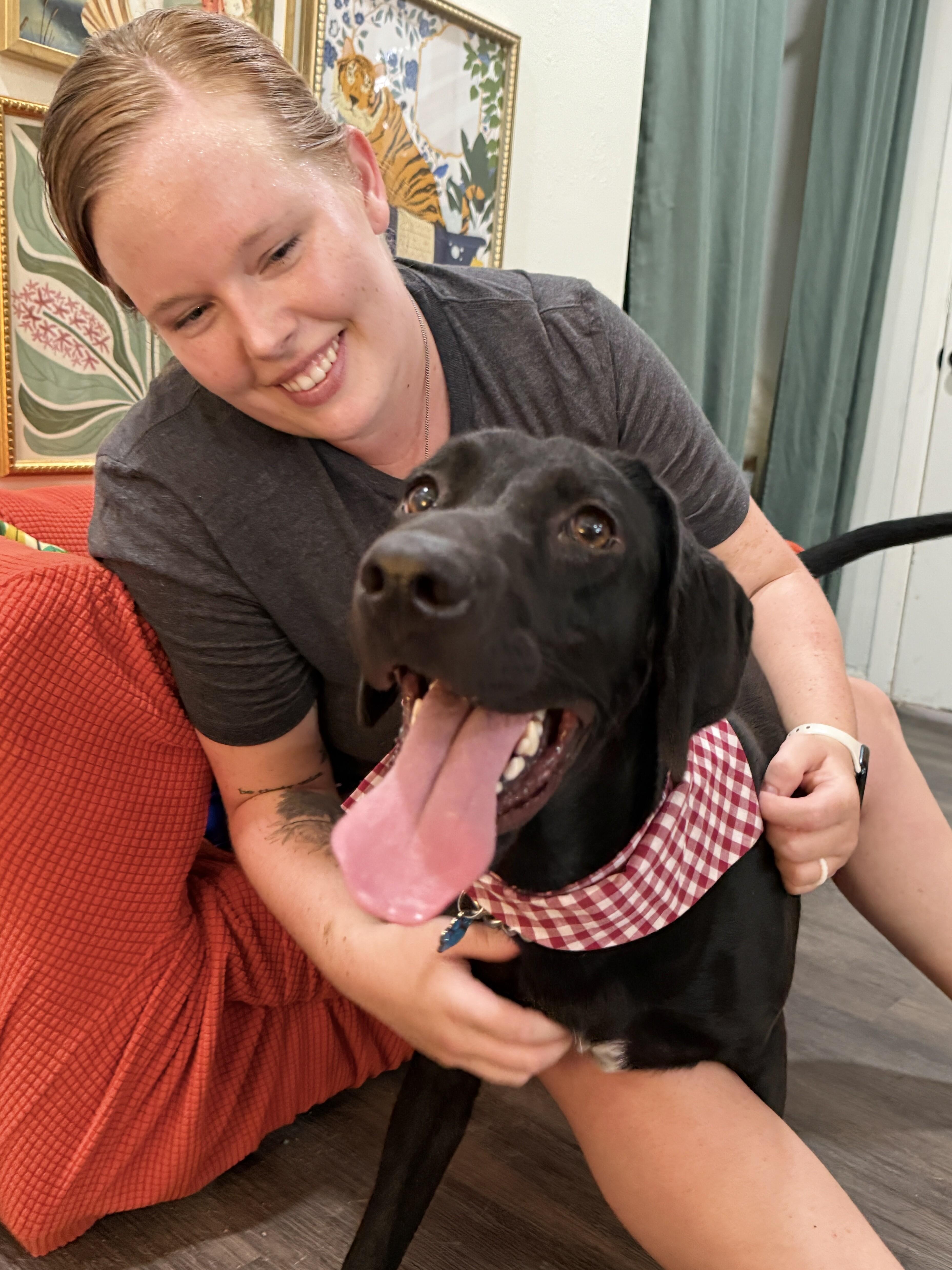 Dog for adoption - Lottie Dot loves a lot, a Black Labrador Retriever ...