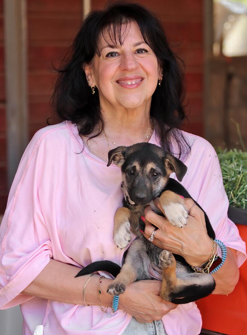 Dog for adoption - *Dixie von Maya, a German Shepherd Dog Mix in Los ...