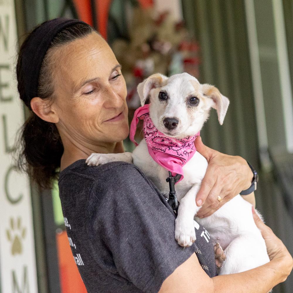 Dog for adoption - Snookie (Female), a Rat Terrier Mix in West Grove ...