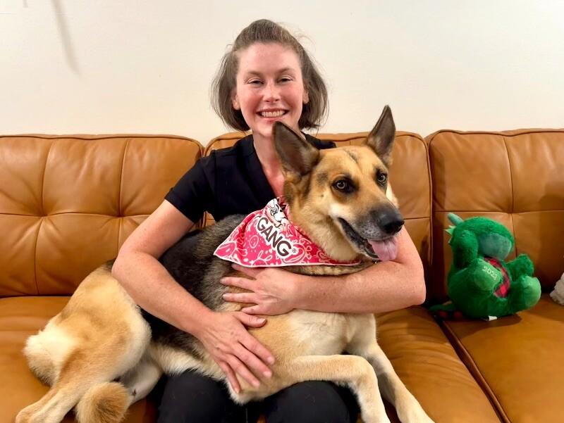 Dog for adoption - Heide Sweetness will love you endlessly, a German ...