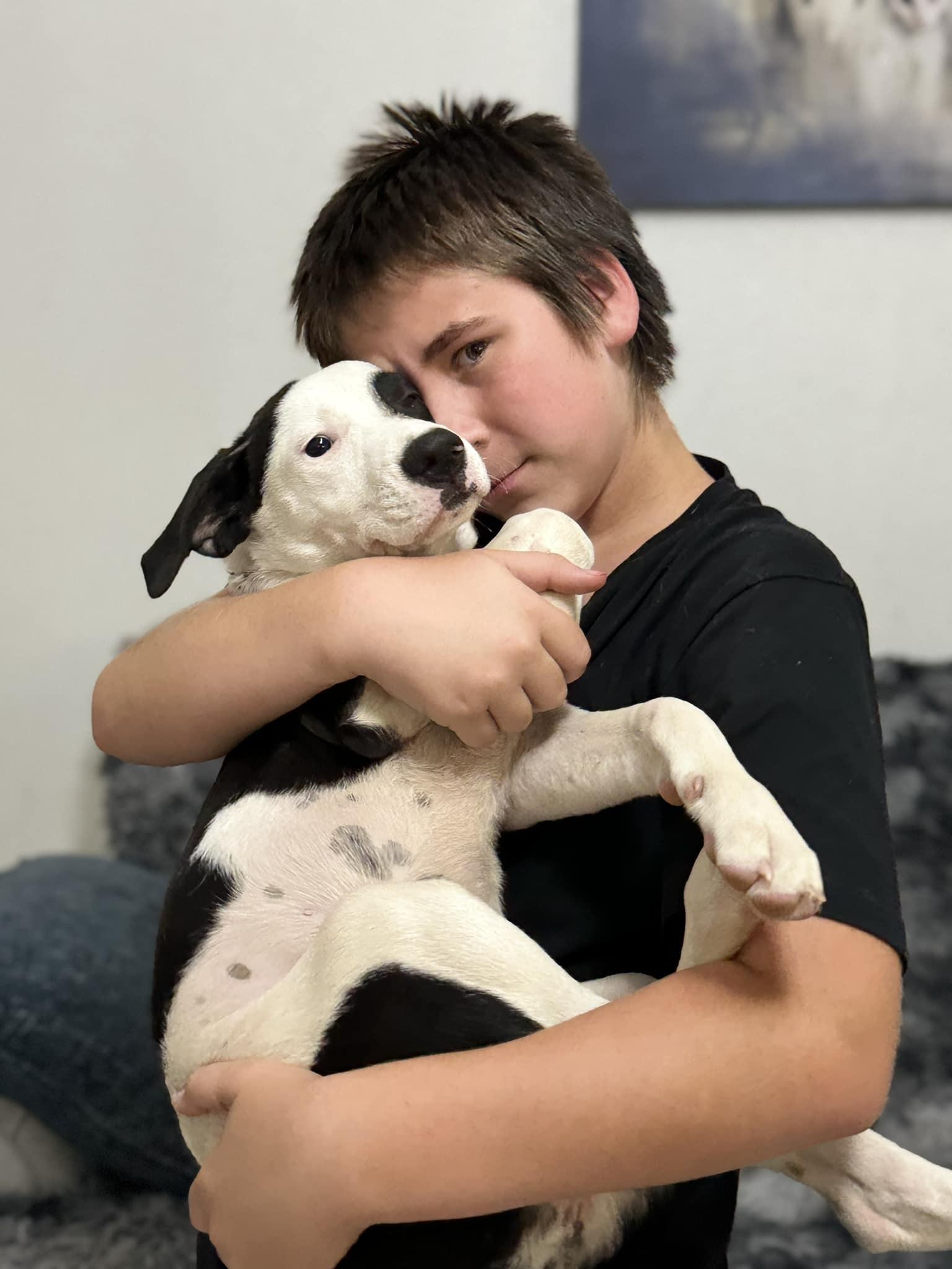 Dog for adoption - Kiara, a Mixed Breed in Bellevue, WA | Petfinder