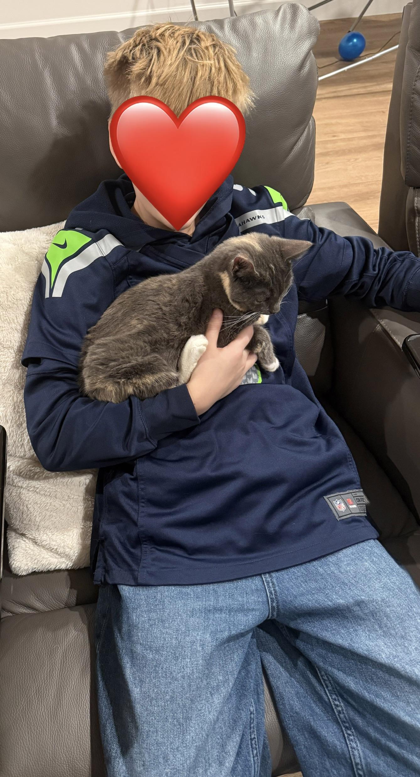 Blue - Adoptable Pet | Petfinder | Petfinder
