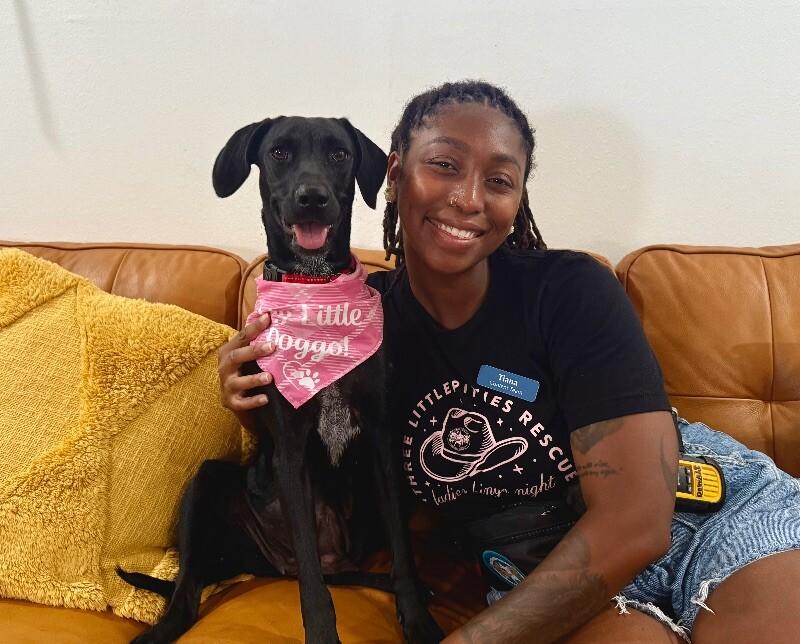 Dog for adoption - Sally Sunshine is so loveable and adores the ...