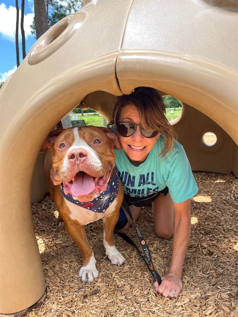 Dog for adoption - Guppy Delivers Giggles, an American Bulldog & Pit ...