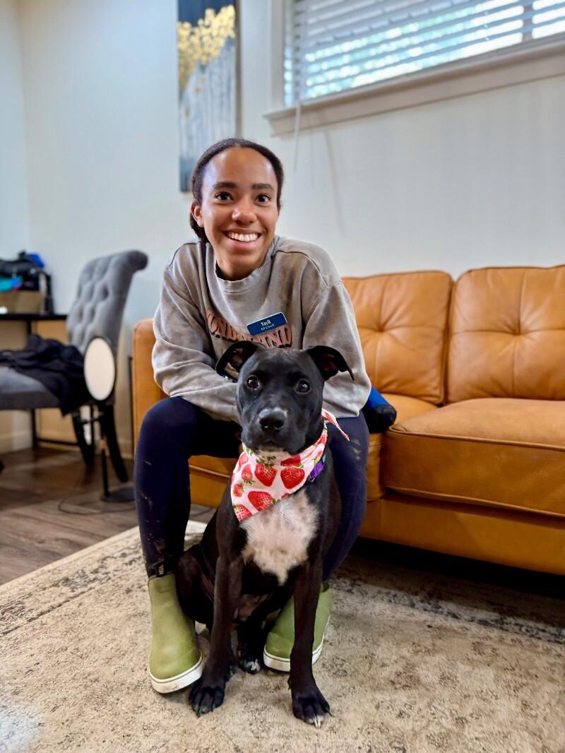 Dog for adoption - Winnie Waller, a Labrador Retriever & Pit Bull ...