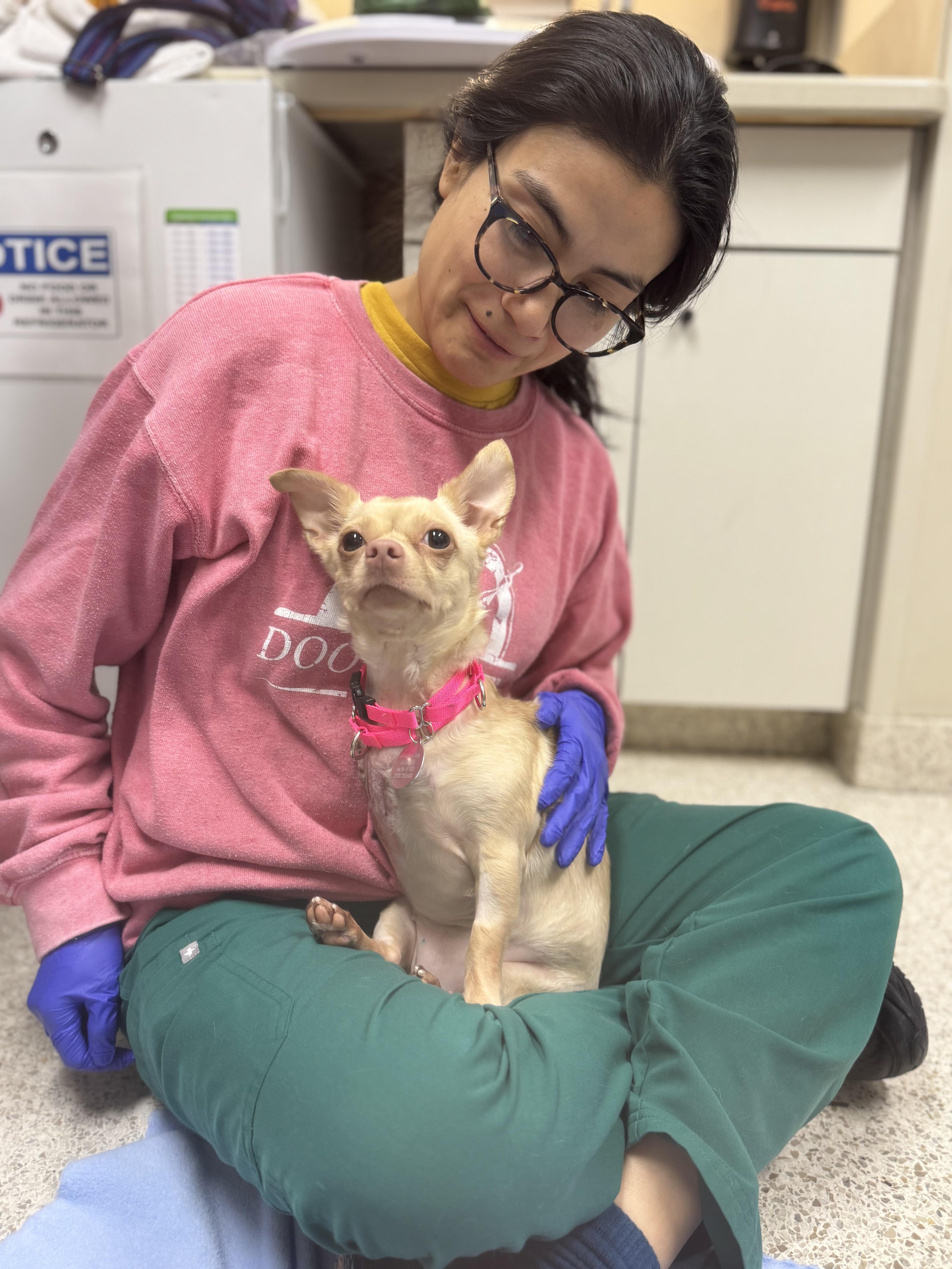 Minnow - Adoptable Pet | Petfinder | Petfinder