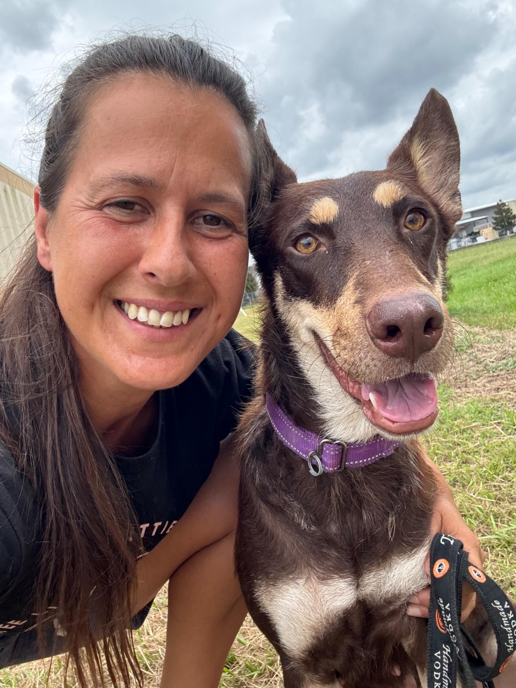 Dog for adoption - Talia Tallulah is a Gentle Peanut Butter Princess, a ...