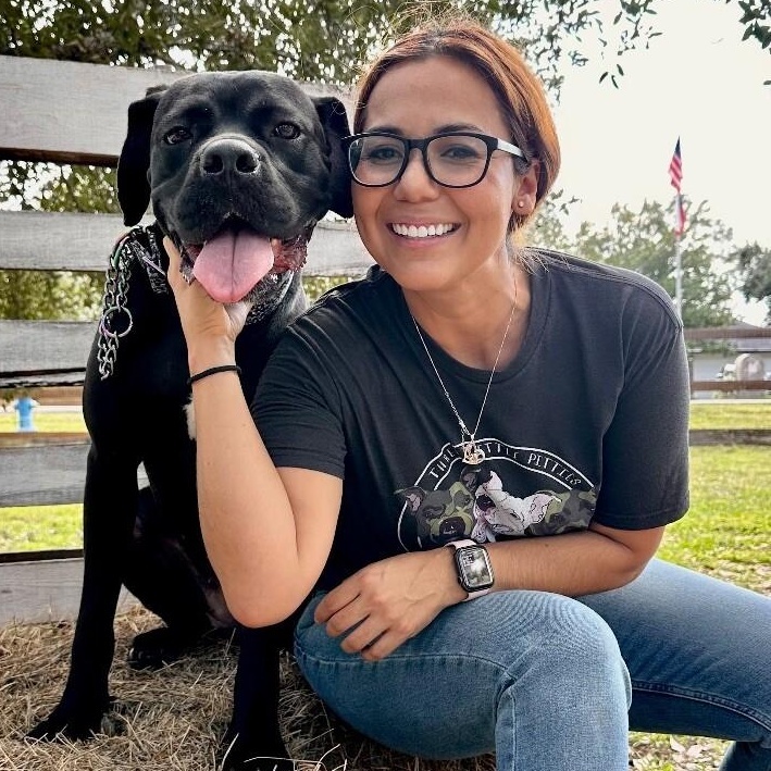 Dog for adoption - Ruby Sweetest Girl, a Cane Corso & Boxer Mix in Twin ...