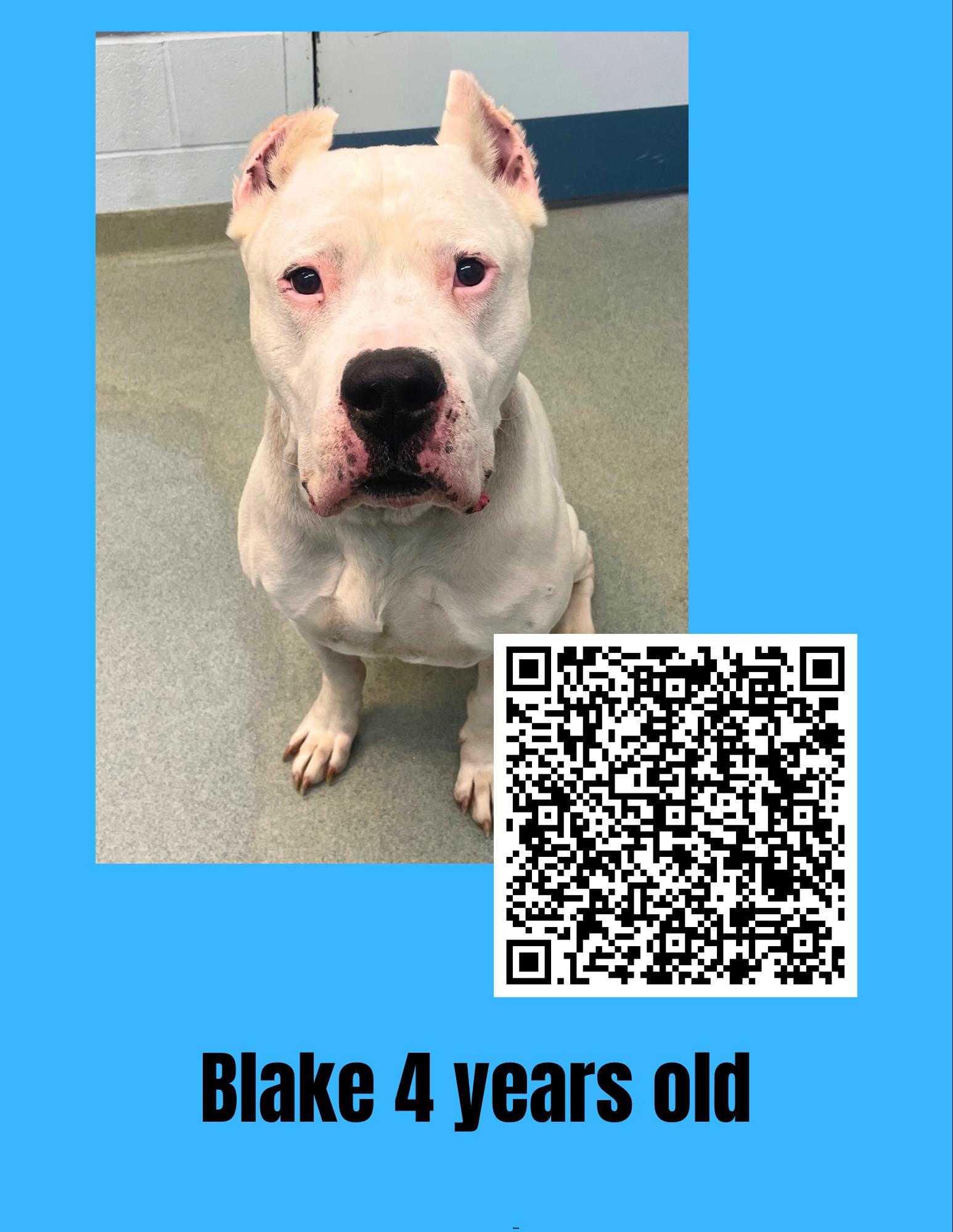 Available Pets - Portage Animal Protective League