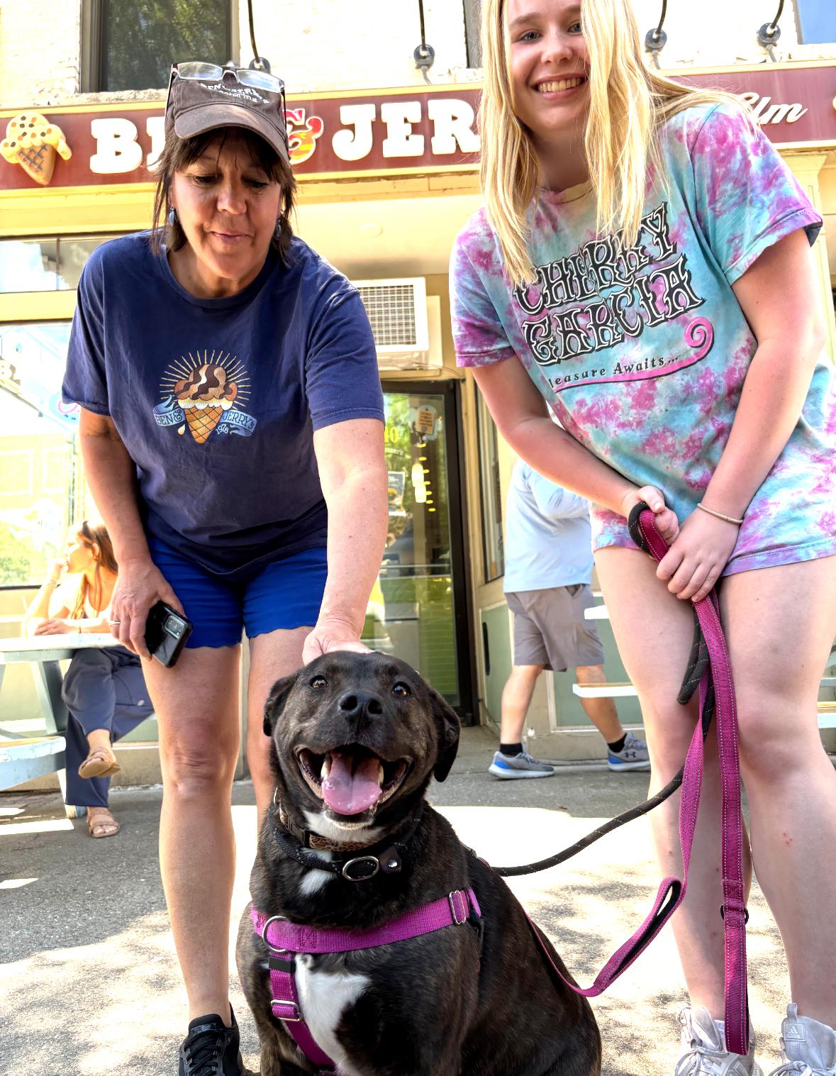 Dog for adoption - Dixie, a Mixed Breed in New Boston, NH | Petfinder