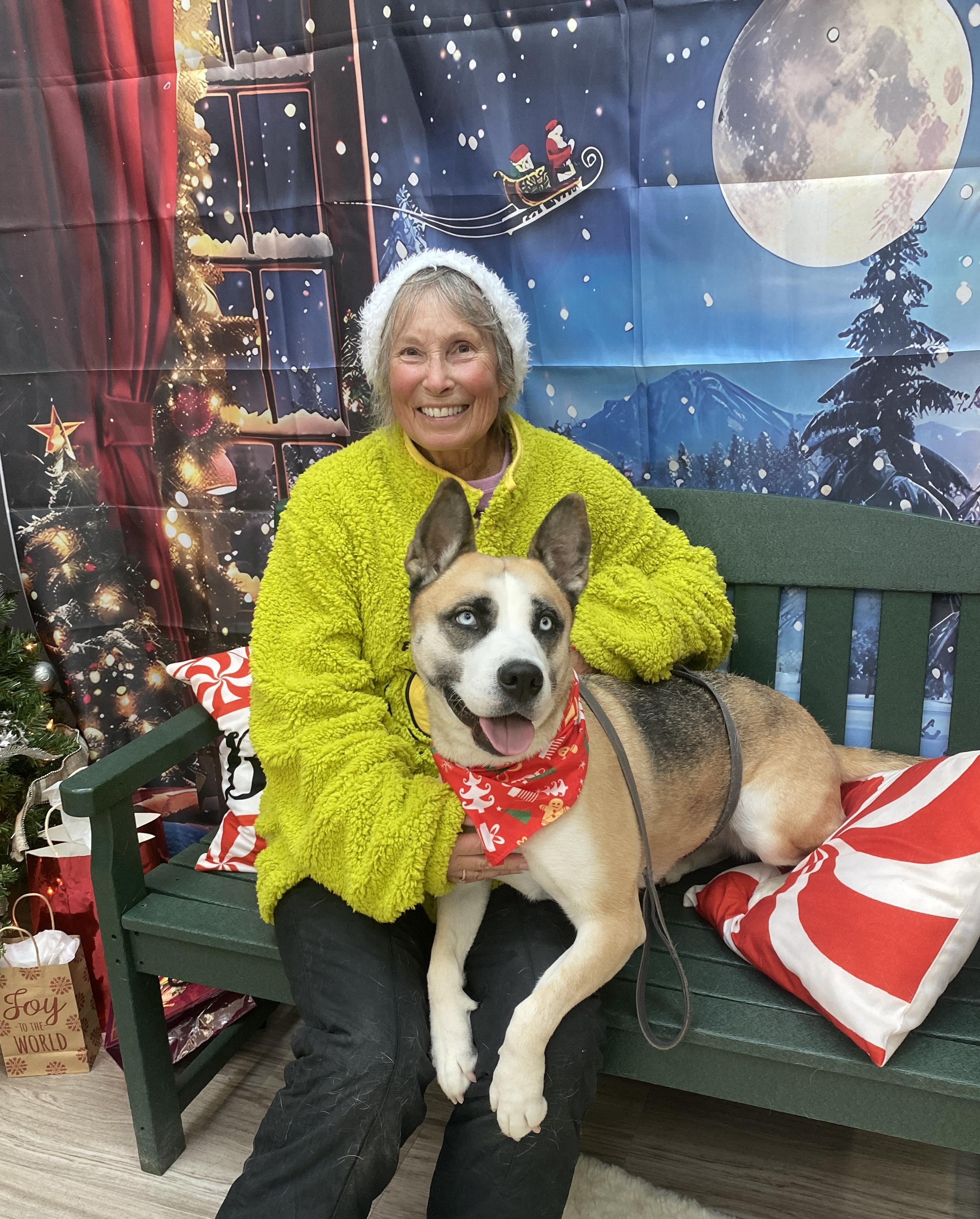 Dog Adoptable - Clover Gci Trained Graduate an Husky Dog in Elyria, OH ...