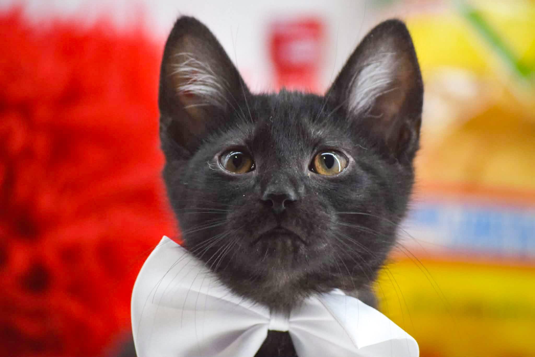 Franks Red Hot thumbnail 4