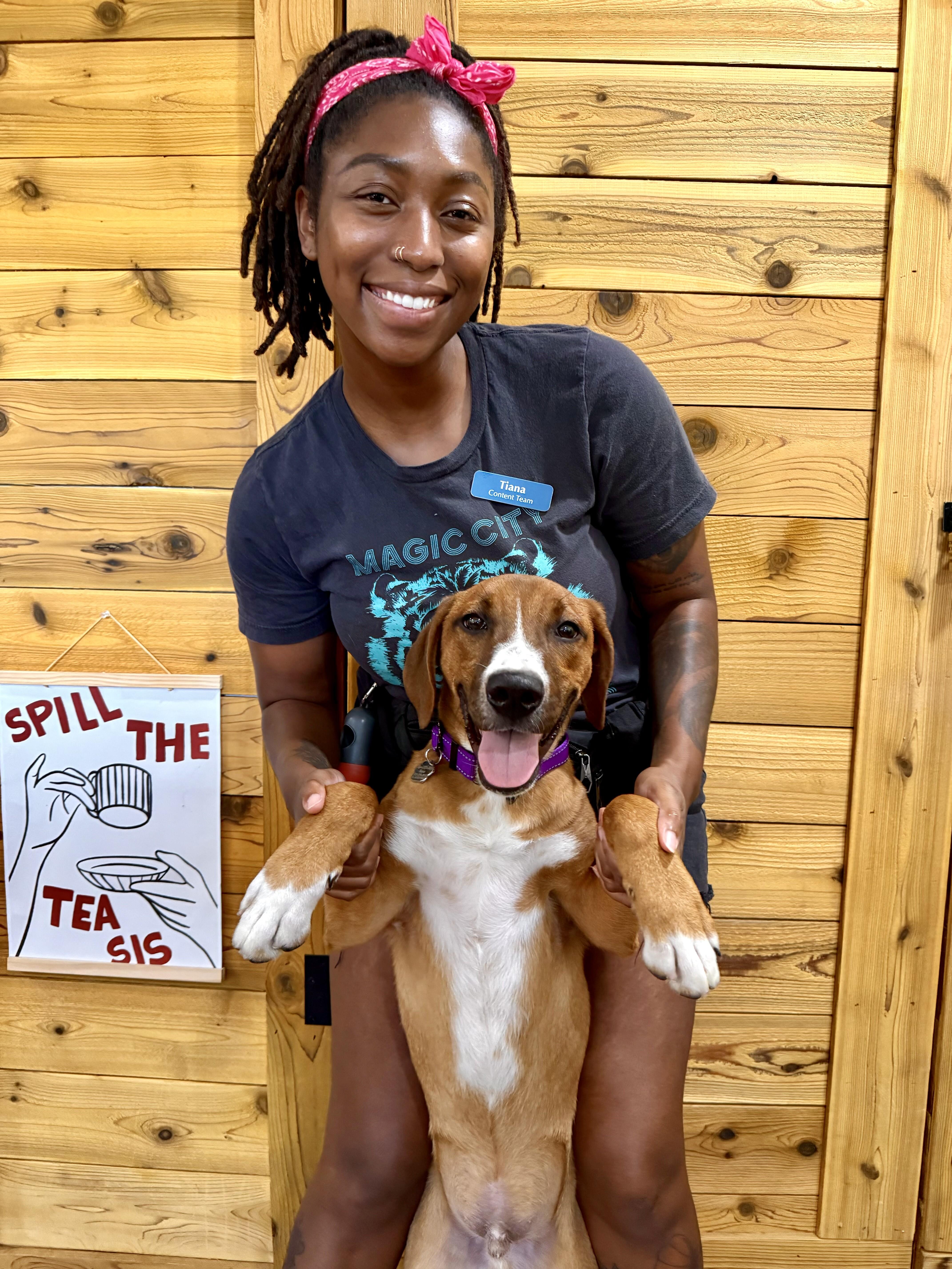 Dog for adoption - Corbin Corndog Small Cutie Cuddlypants, a Boxer ...